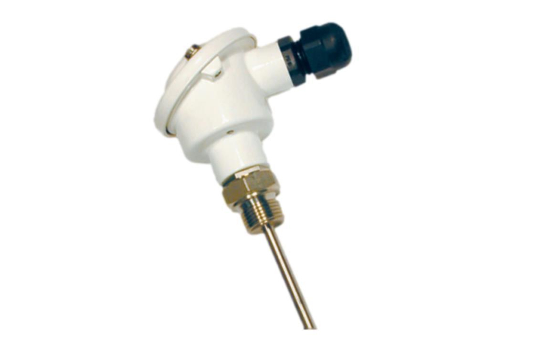 DITTMER 1xPT100-B-4L-EXIA Temperature Sensor Probe