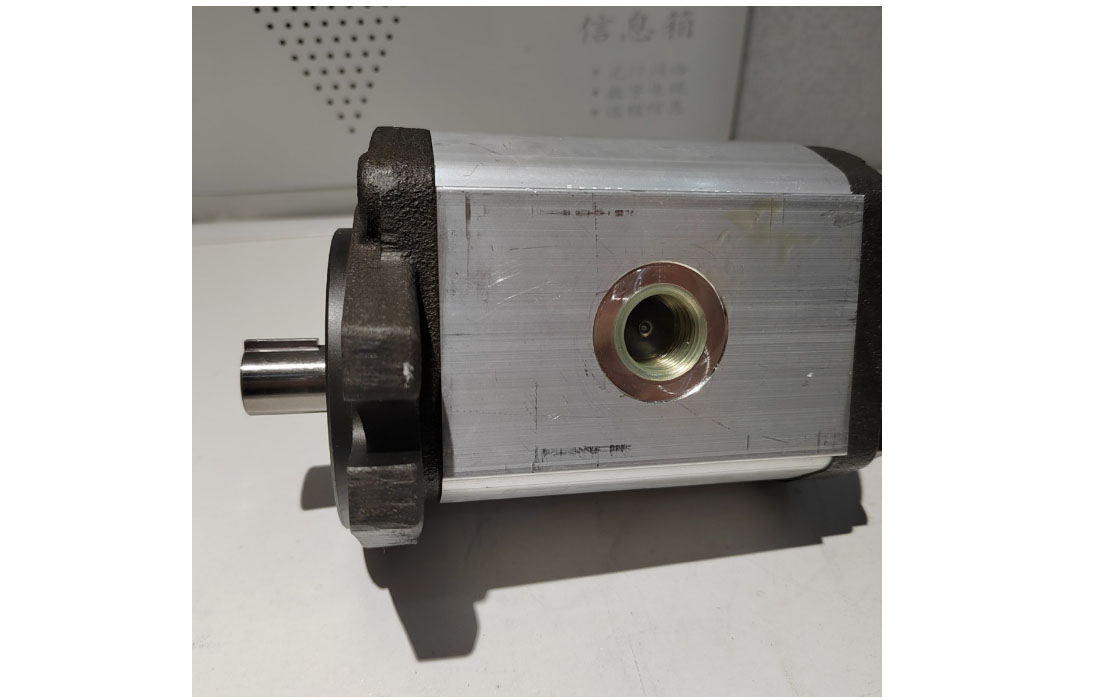 RONZIO Hydraulic Pump 02ZCG31N435S